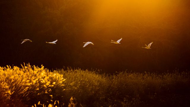 United States | Bing Daily Wallpaper Gallery – Browse Stunning HD Images