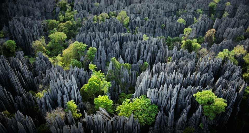 Karst limestone formations in Tsingy de Bemaraha Strict Nature Reserve ...