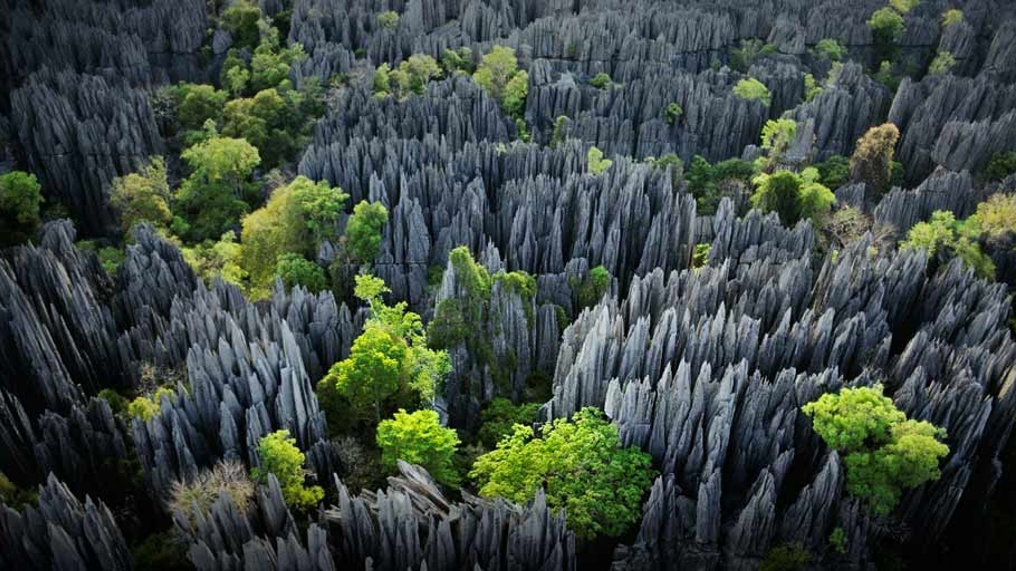Karst limestone formations in Tsingy de Bemaraha Strict Nature Reserve ...