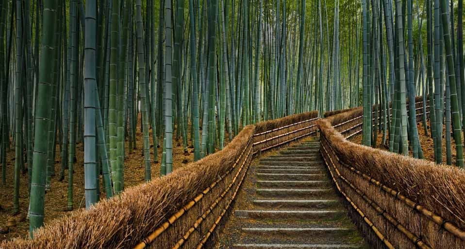 Wallpaper Of Japanese Wooden Trails Fall Scenery Of Beautiful