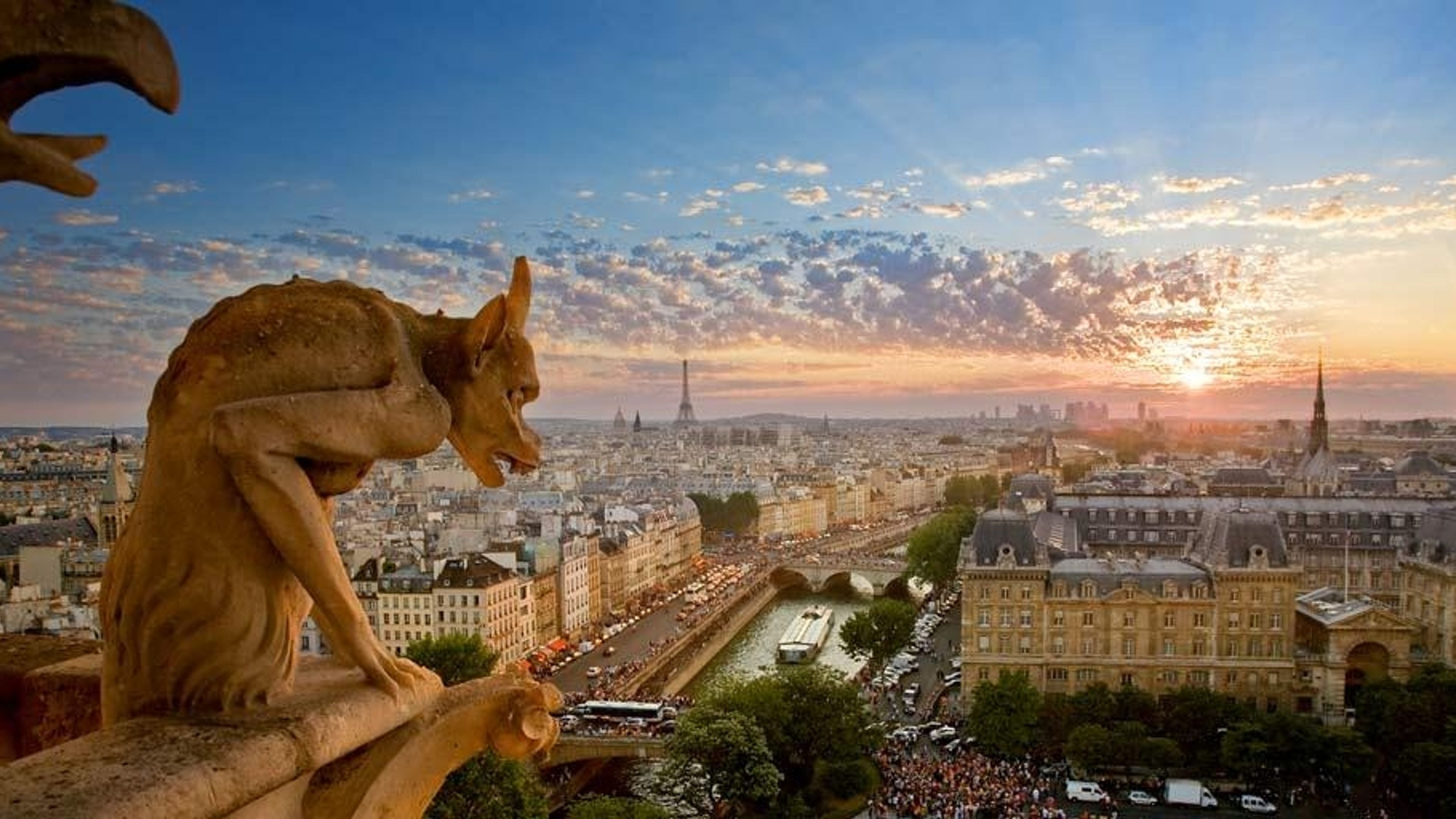 Vue sur Paris et la Seine depuis la cathédrale Notre-Dame de Paris, Île ...