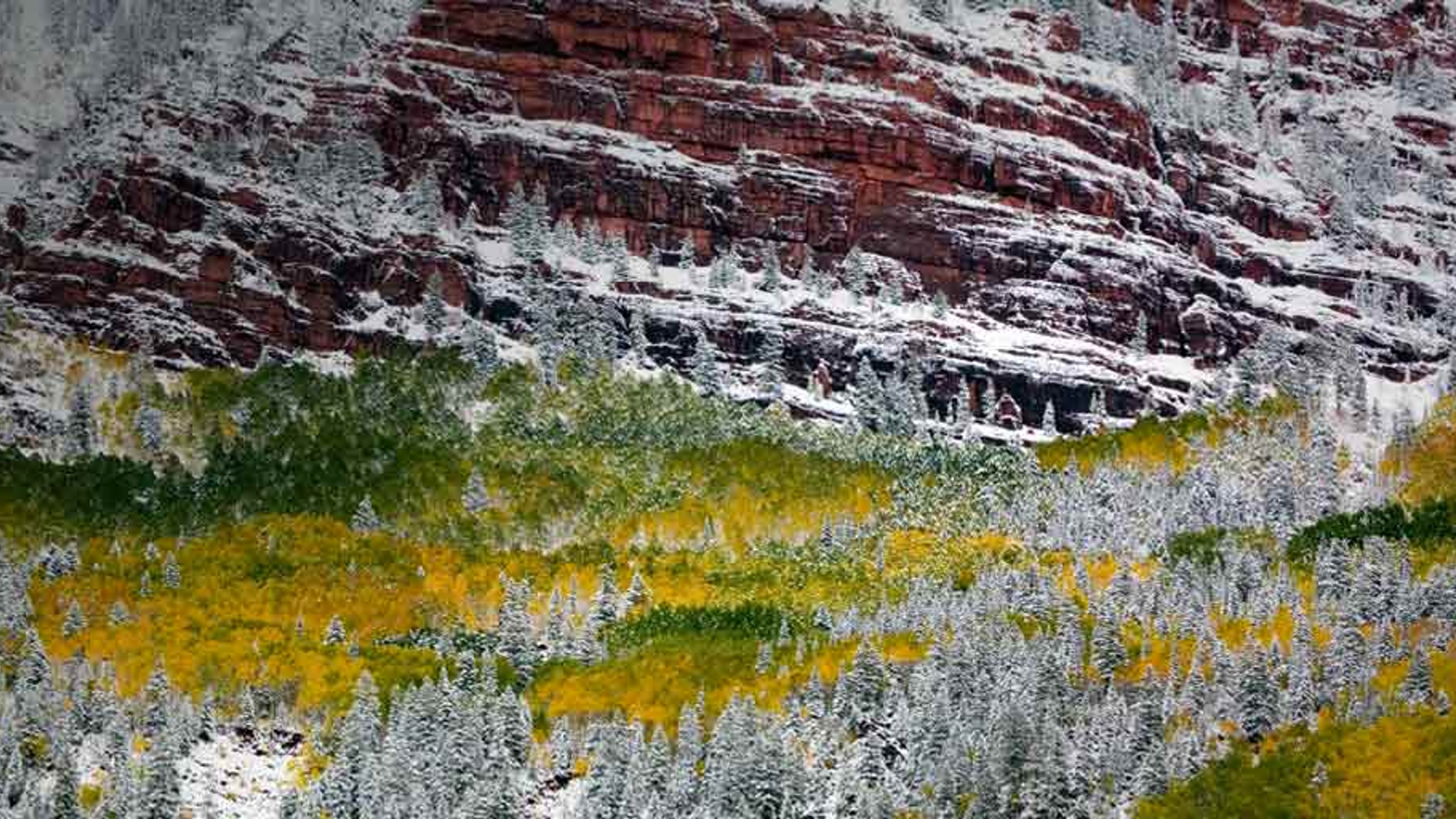 Aspens and snow on the red cliffs of Redstone, Colorado - Bing Gallery