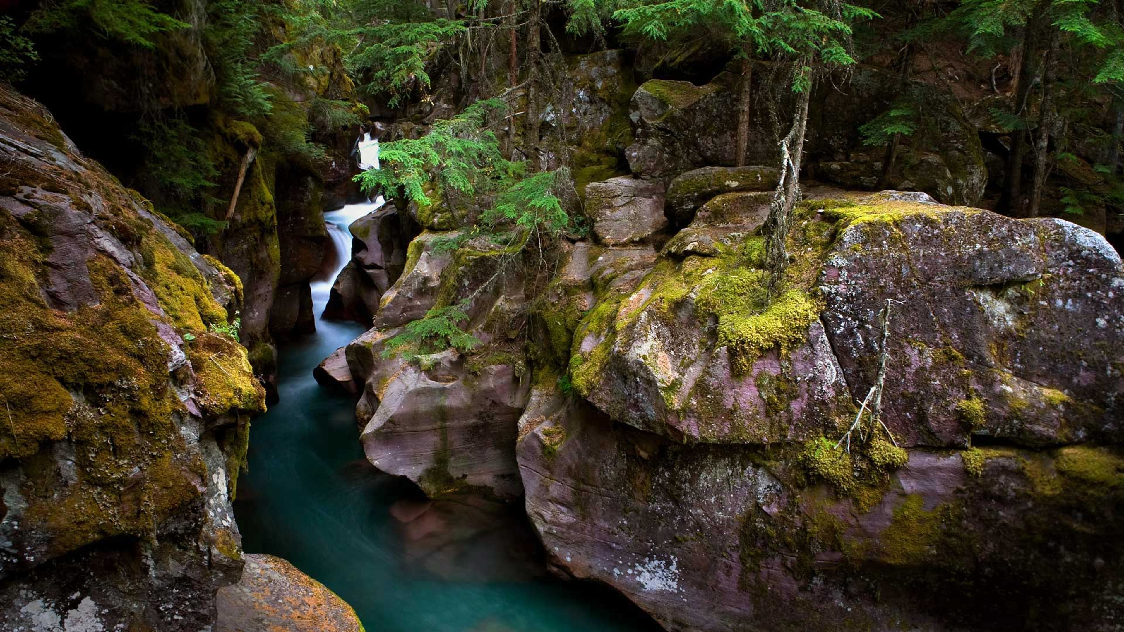 Avalanche Creek Parc National De Glacier Montana tats Unis Bing Avalanche Creek Parc National De Glacier Montana tats Unis Bing