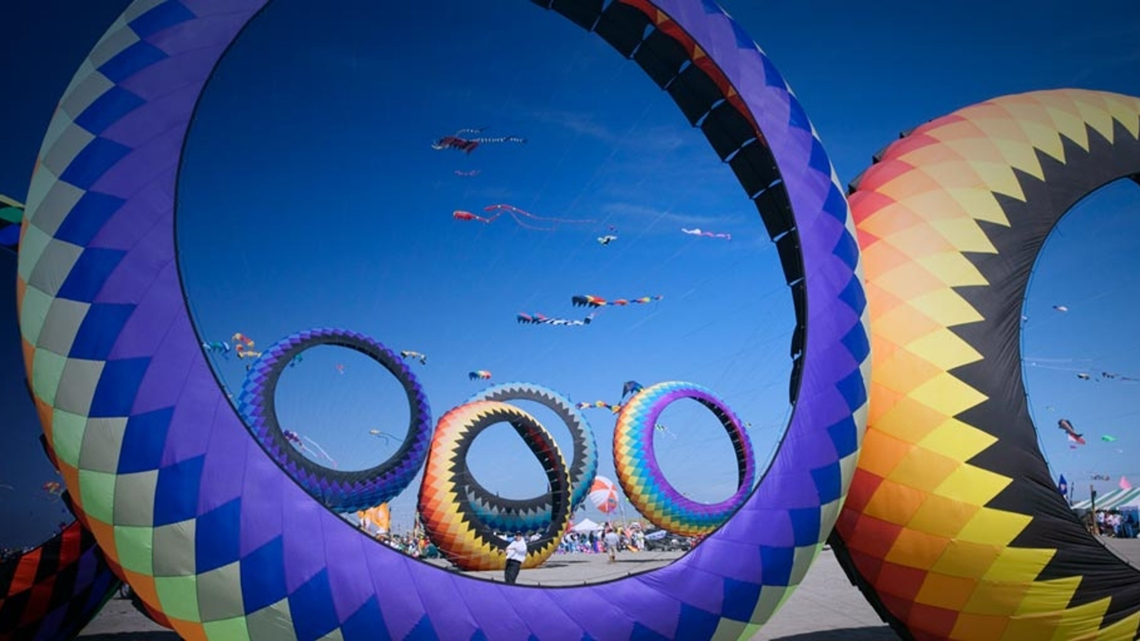 Circoflex kites at the International Kite Festival, Long Beach ...