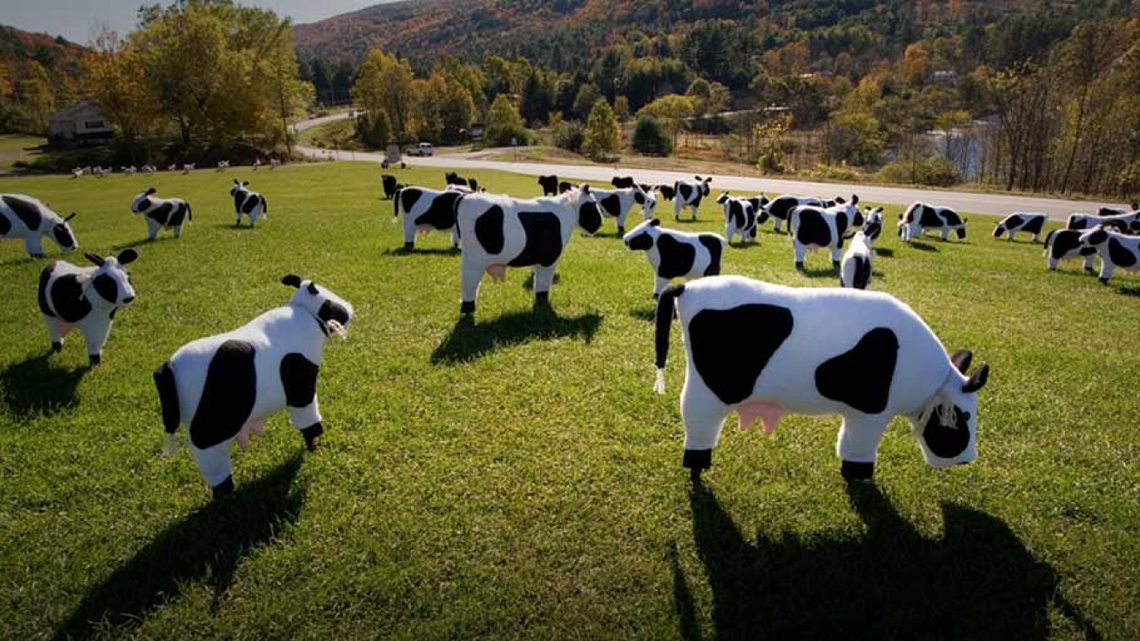 Ornamental cows graze a lawn in Quechee, Vermont - Bing Gallery