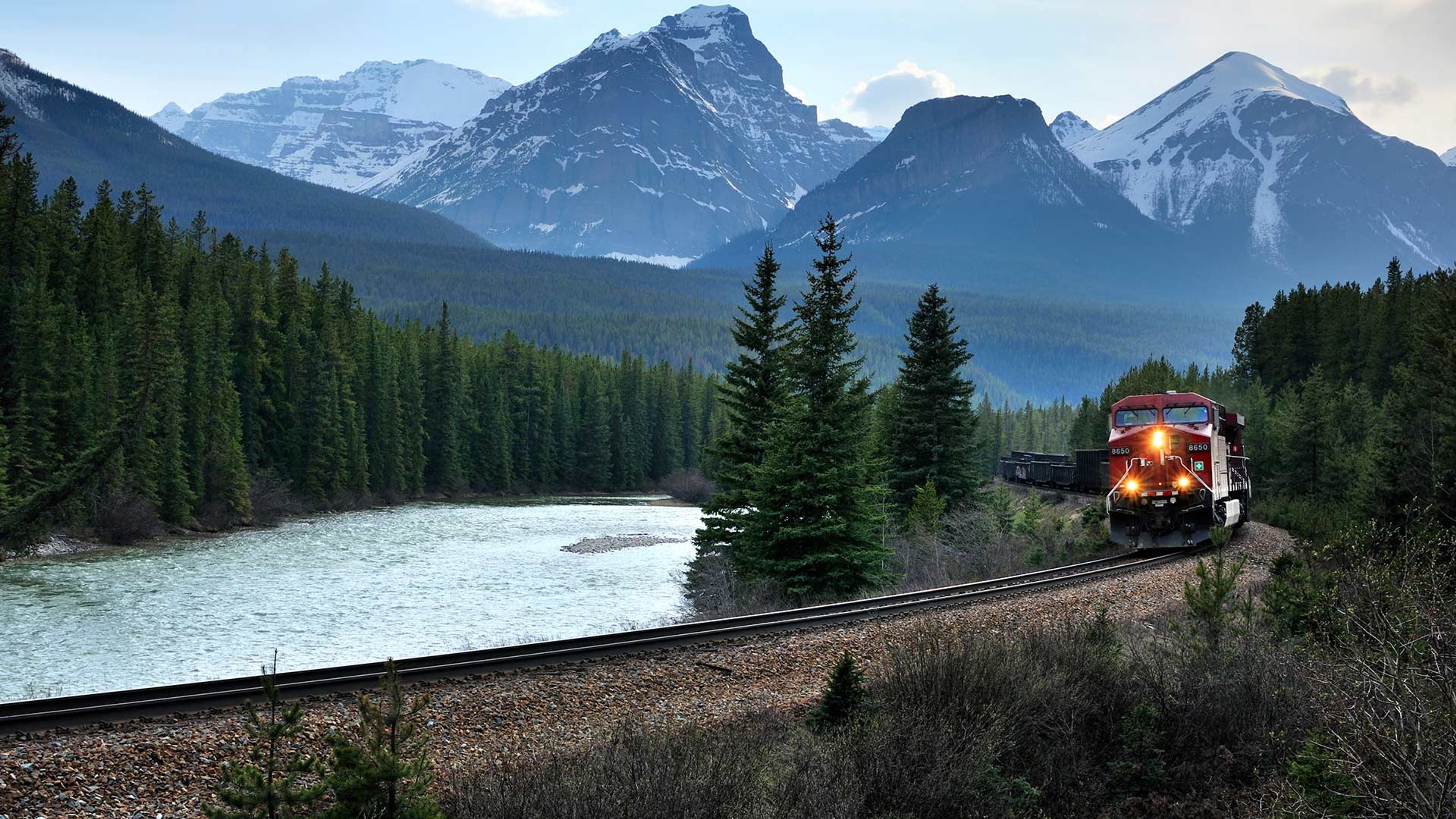 Train passing through Banff National Park, Banff, Alta. - Bing Gallery