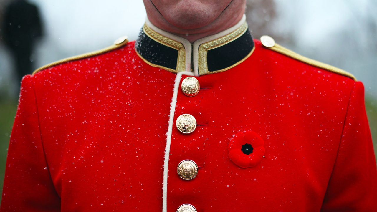 A member of the Canadian Armed Forces wears a poppy prior to a ...