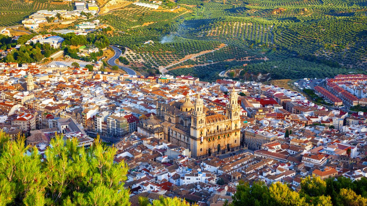Catedral de la Asunción, Jaén, Andalucía, España - Bing Gallery · Peapix