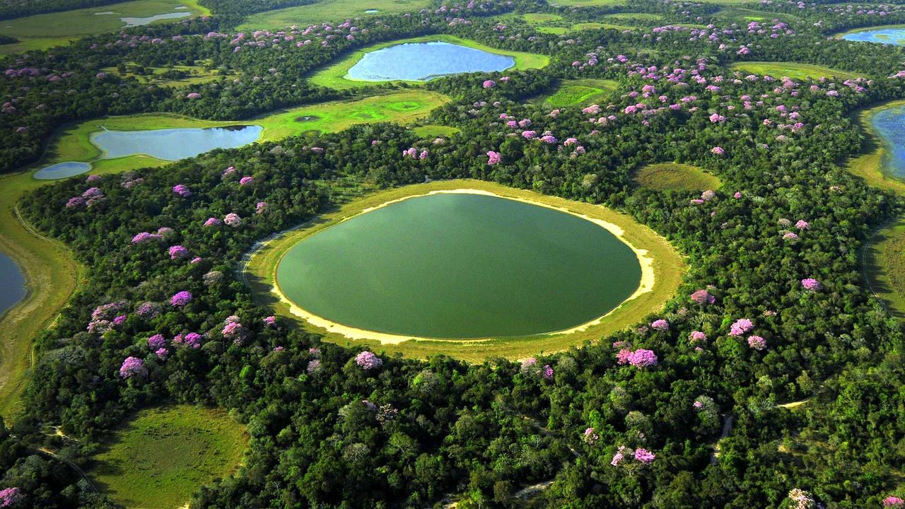 Wetlands of Pantanal, Brazil - Bing Gallery · Peapix