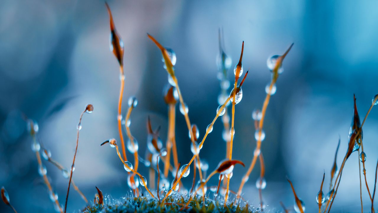 Let's drop some facts - Spotlight Gallery