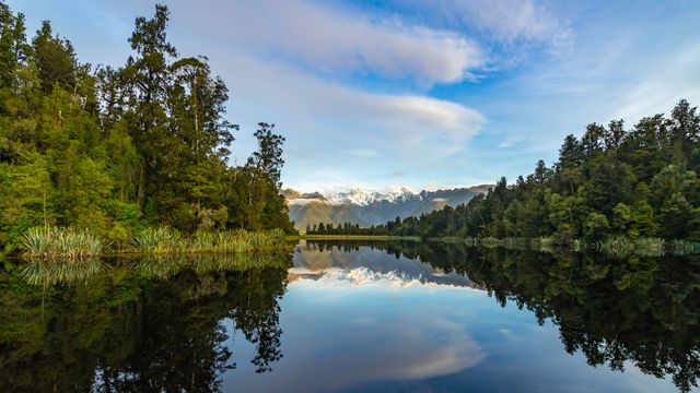 A relic restored - Spotlight Gallery