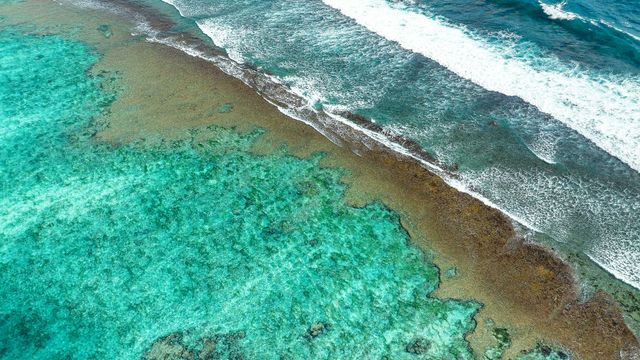 Coral shores - Spotlight Gallery