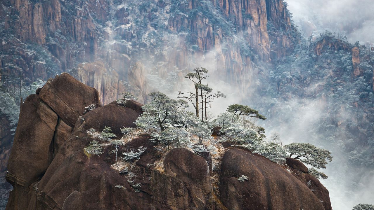 Winter at Huangshan, China - Bing Gallery · Peapix