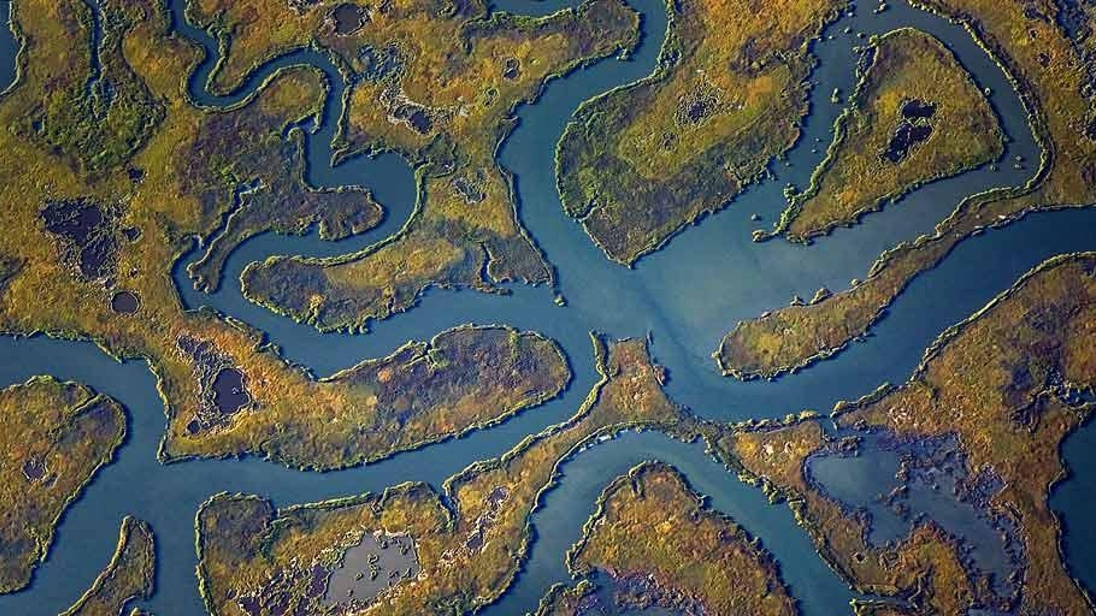Salt Marsh Aerial Supporting Saltmarsh Recovery On Tasmania's East