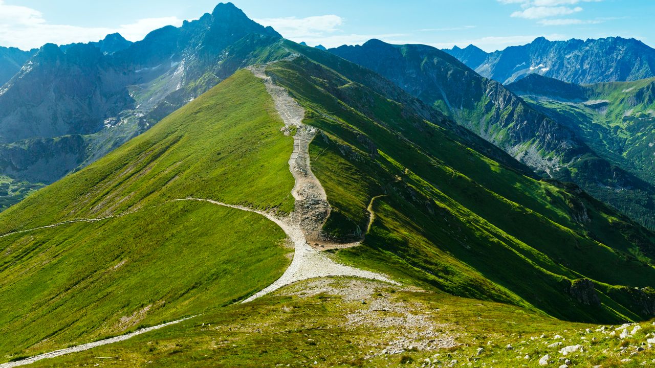 Watch your step - Spotlight Gallery