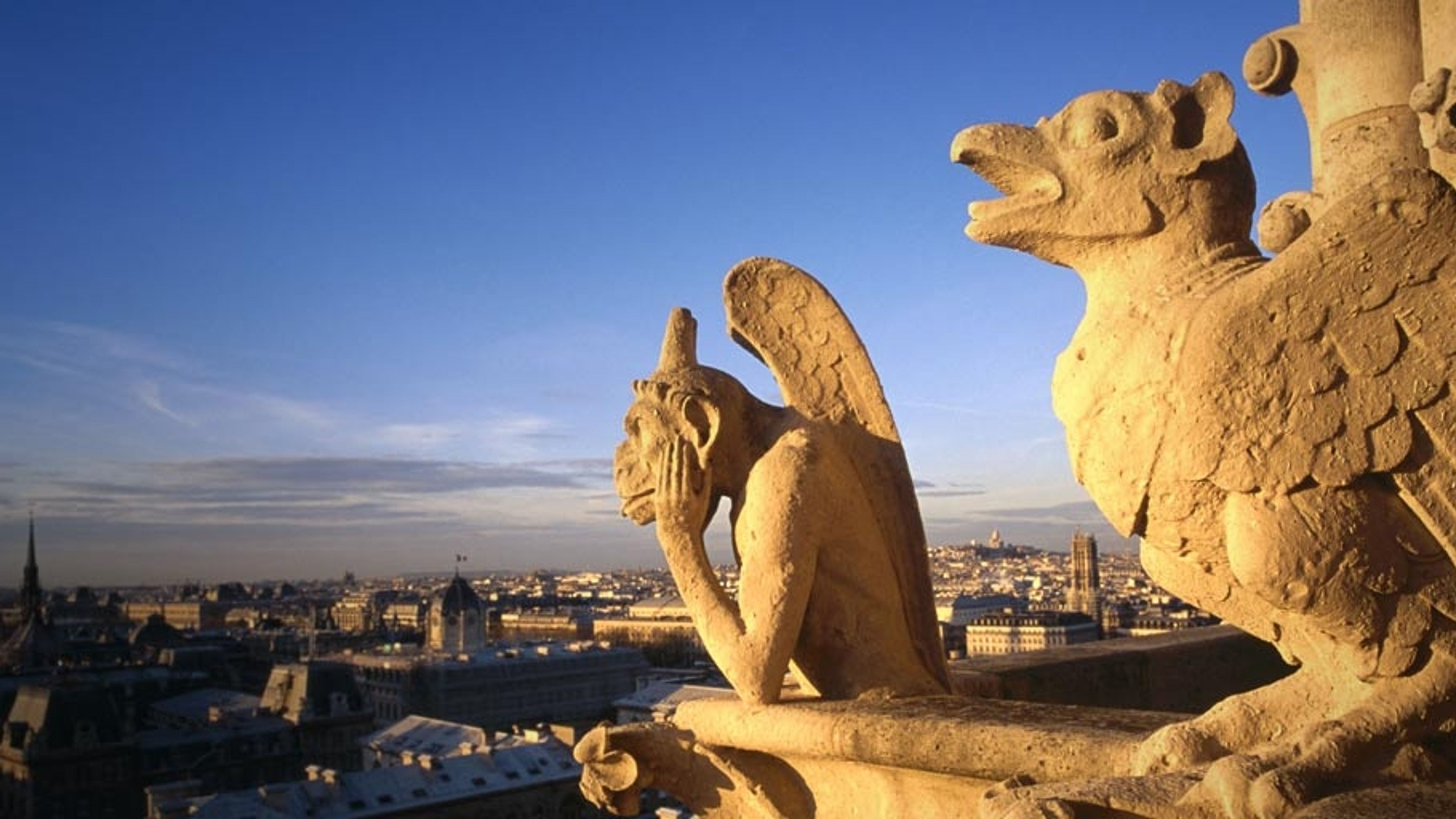 Gargoyles on the roof of Notre-Dame Cathedral in Paris, France - Bing ...