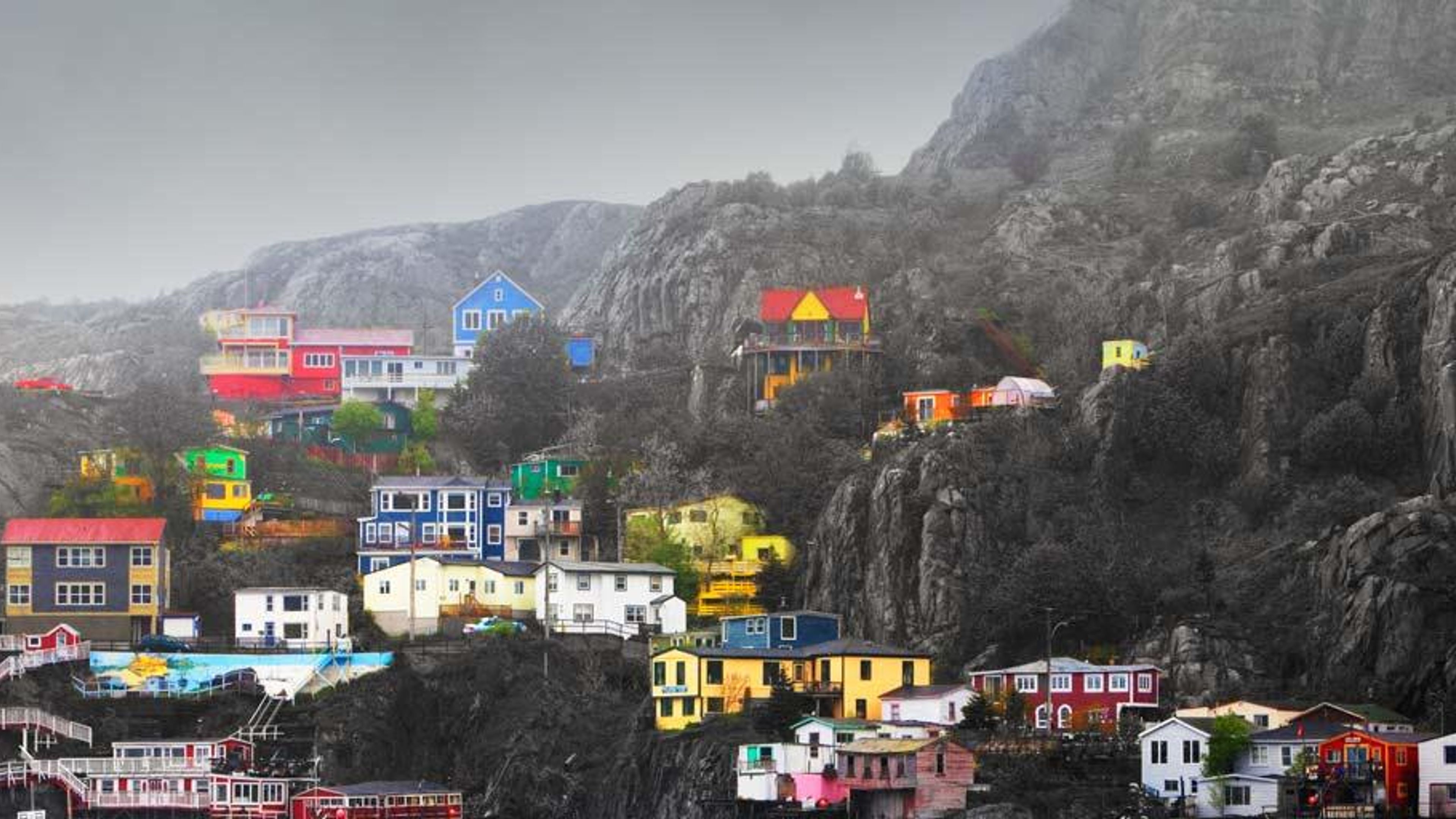 Multi colored homes along shoreline of St. John's, Newfoundland and ...