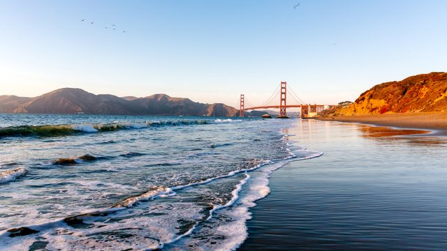 A relic restored - Spotlight Gallery