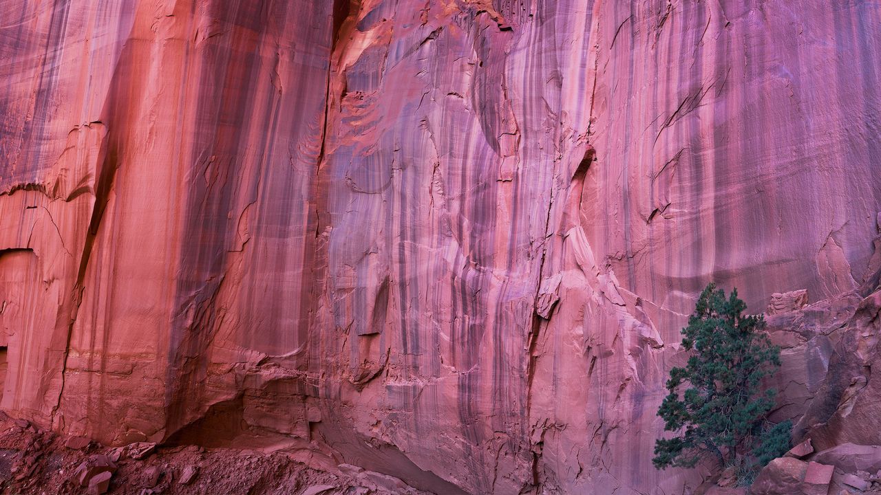 Ridges of red - Spotlight Gallery