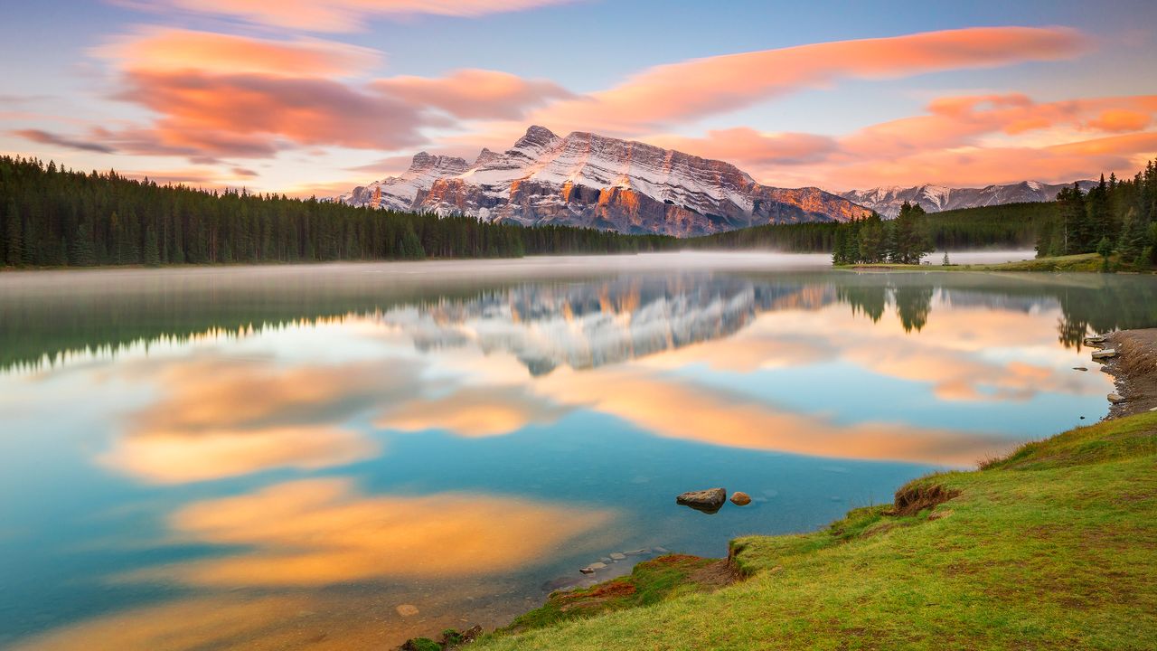 A tale of two Jacks - Spotlight Gallery