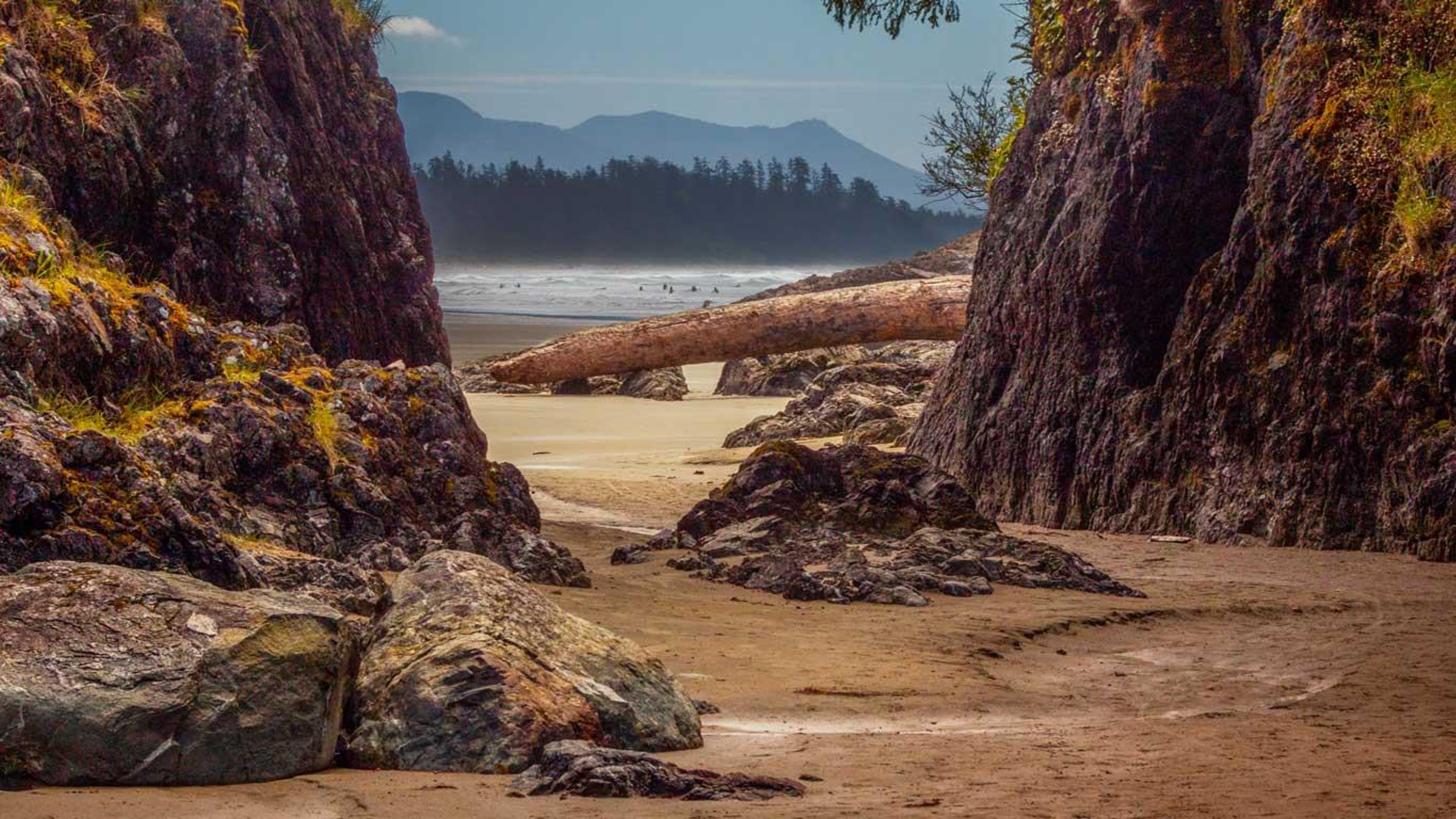 View of coastline at Pacific Rim National Park, Tofino, Canada - Bing ...
