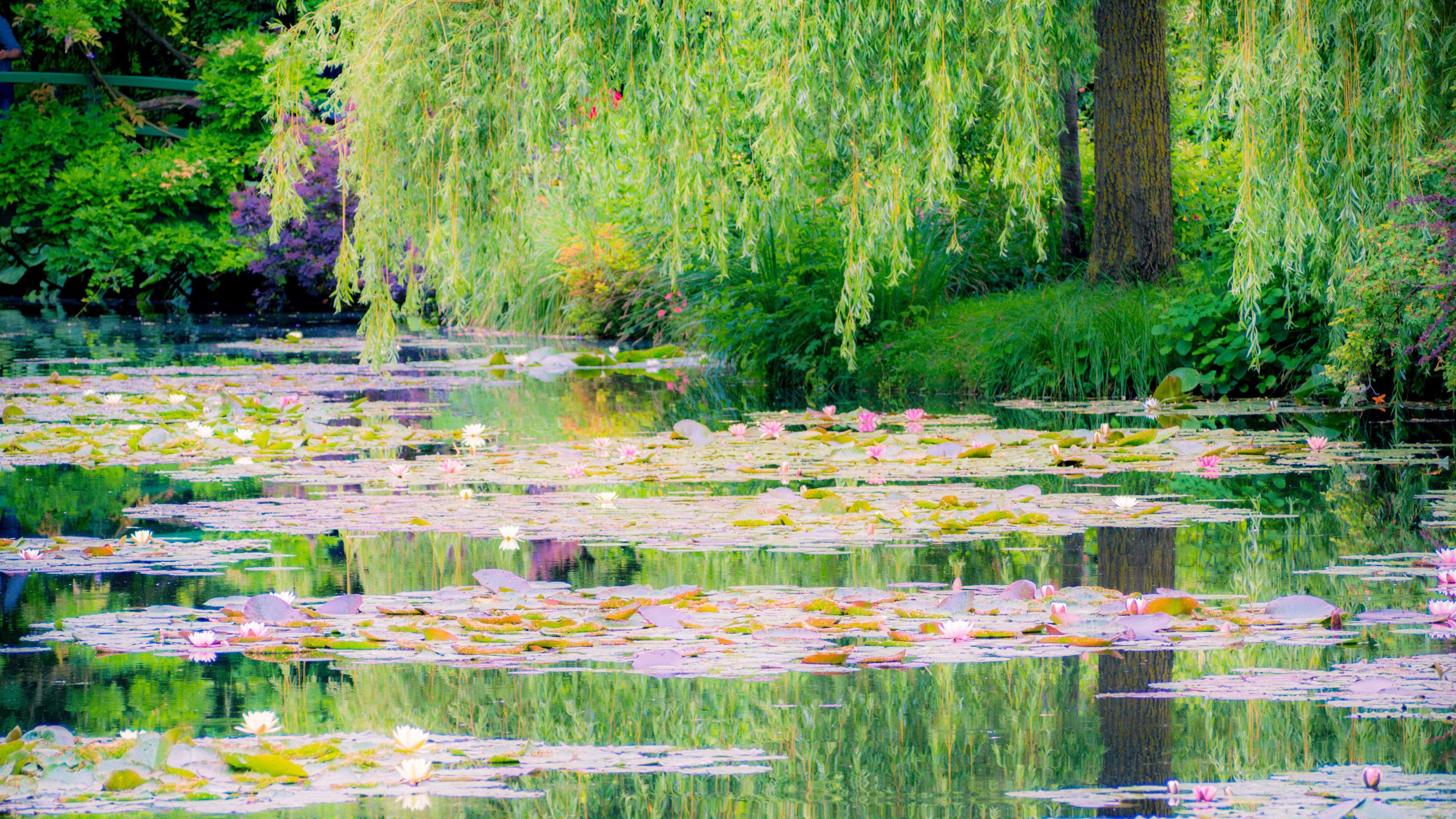 Le jardin de Monet à Giverny, France - Bing Gallery