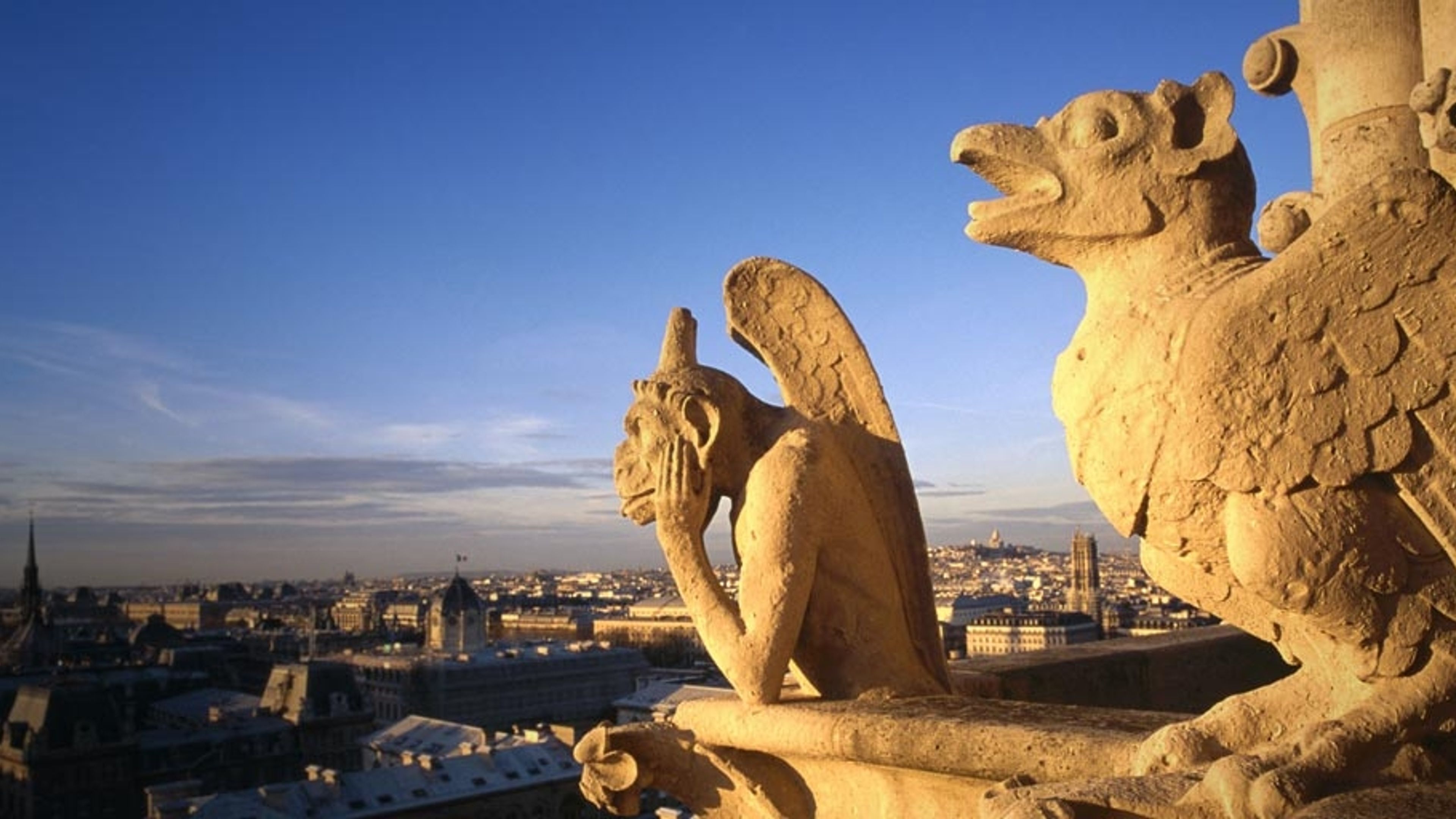 Gargoyles on the roof of Notre-Dame Cathedral in Paris, France - Bing ...