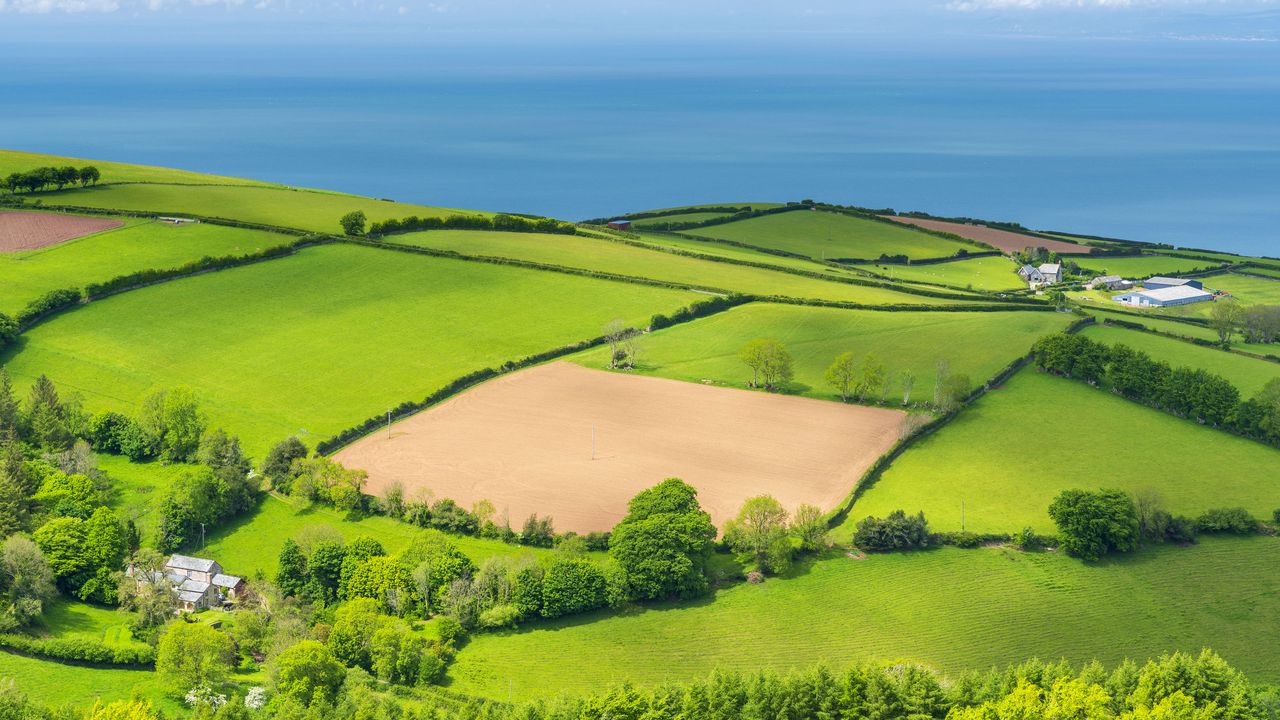 Moor to love - Spotlight Gallery