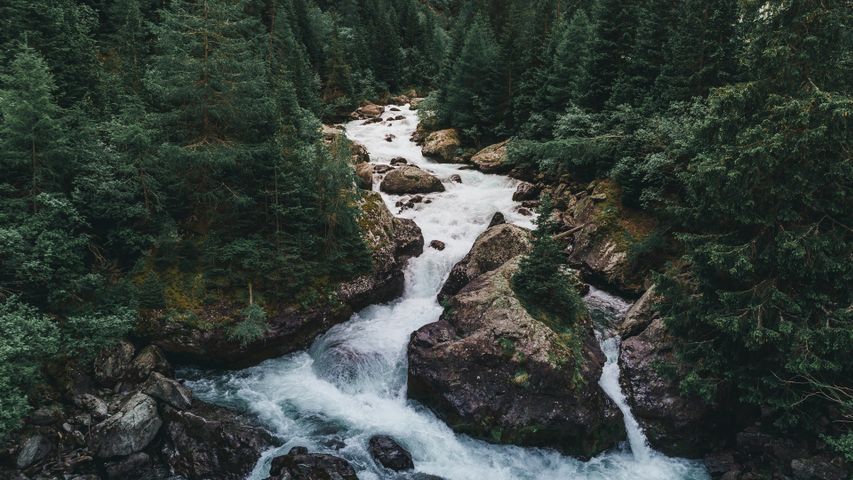 Spotlight Wallpaper Gallery - Free Lock Screen Wallpapers & 4K Images