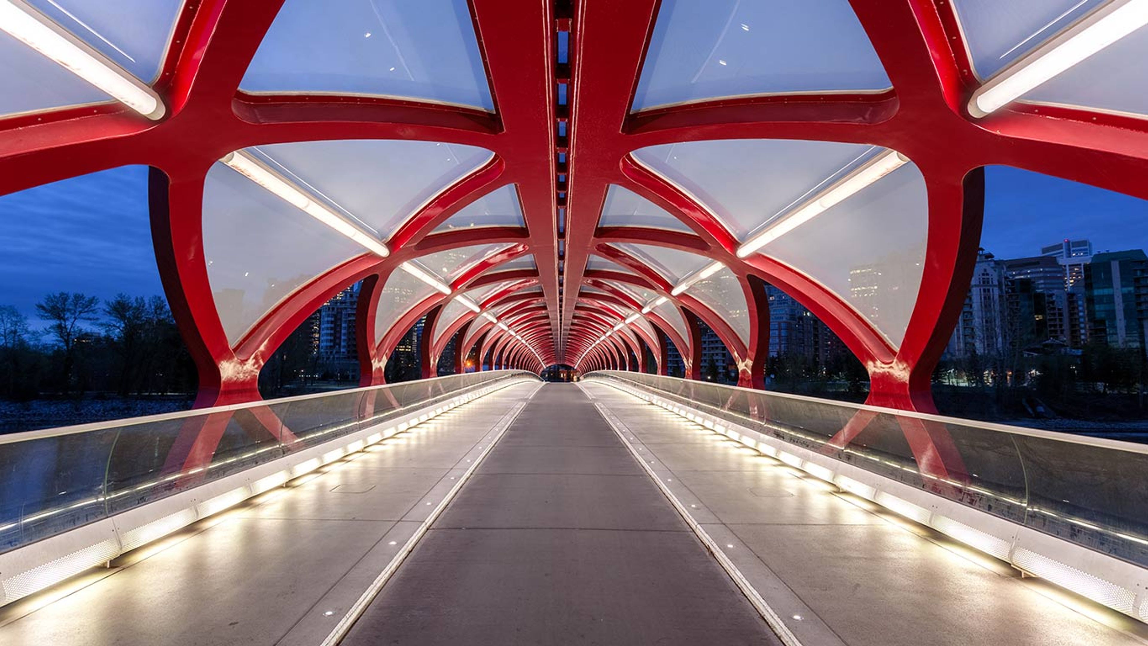 The Peace Bridge, Calgary - Bing Gallery