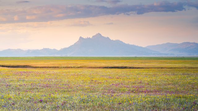 Canada Apr 2026 Bing Wallpaper Collection - Stunning Bing Daily Images ...
