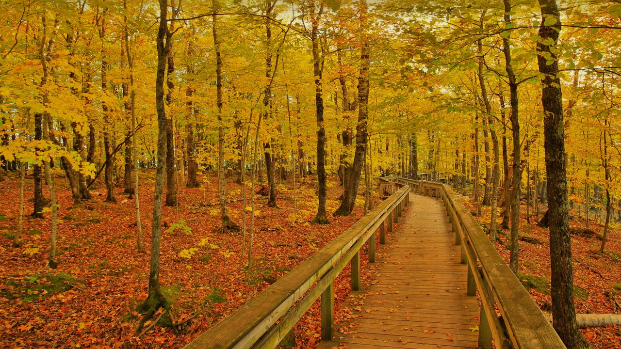 Escarpment Trail in Porcupine Mountains Wilderness State Park, Michigan ...