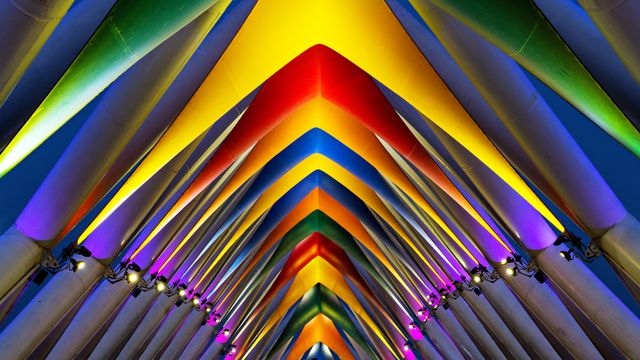 Flying colors? - Spotlight Gallery