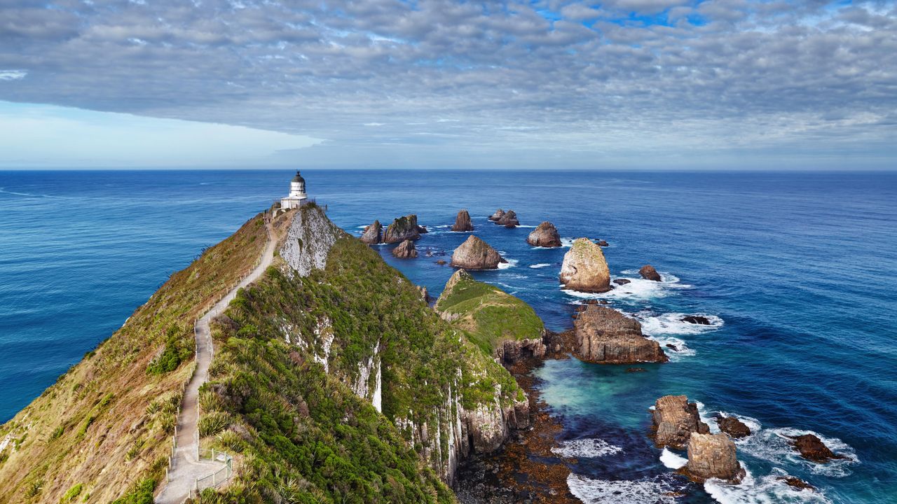 Warning: Nuggets - Spotlight Gallery