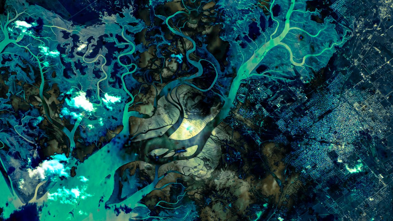 A tangled 'bay' - Spotlight Gallery