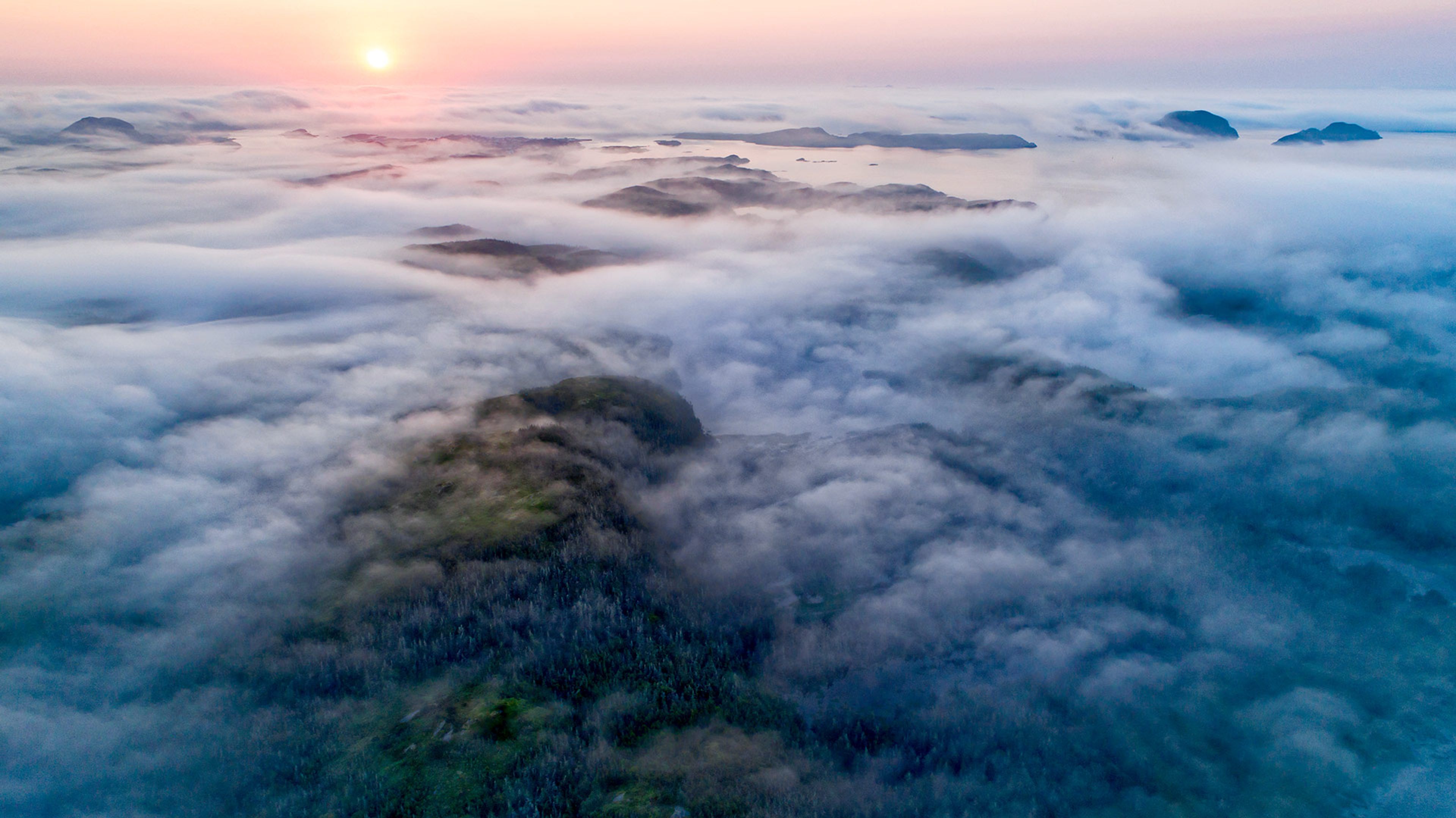 Low-lying fog along the coast, Newfoundland and Labrador - Bing Gallery