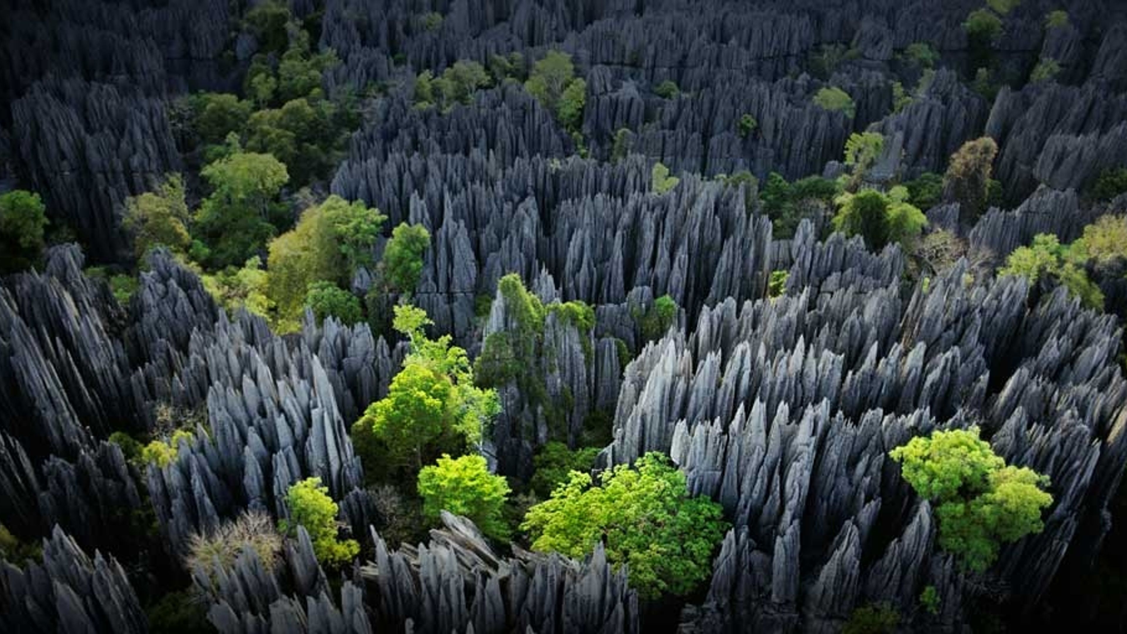 Karst limestone formations in Tsingy de Bemaraha Strict Nature Reserve ...
