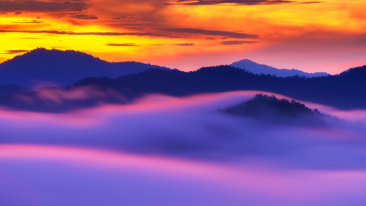 'Sea of mist' - Spotlight Gallery