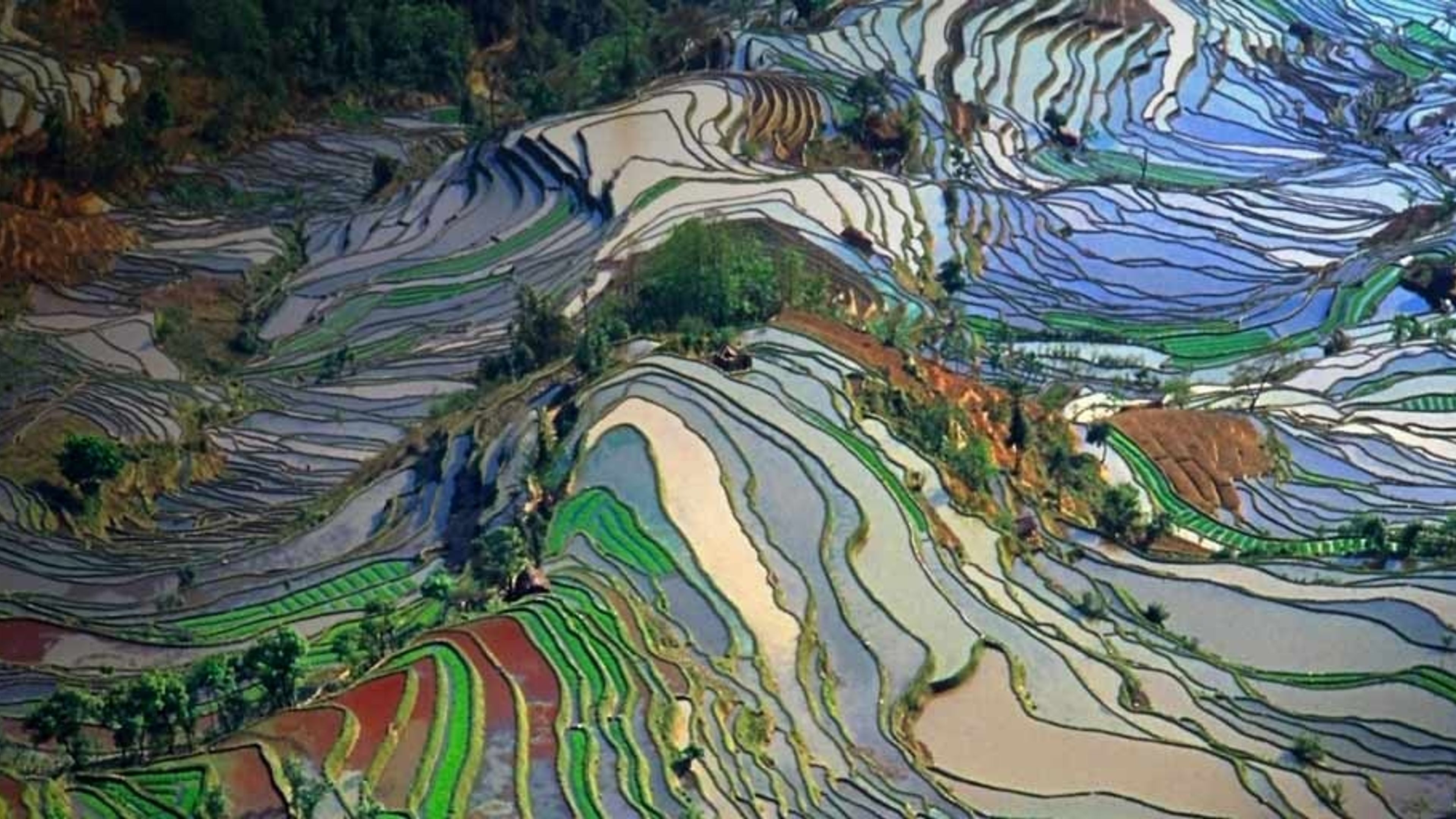 Aerial view of rice fields in Yunnan Province, China - Bing Gallery