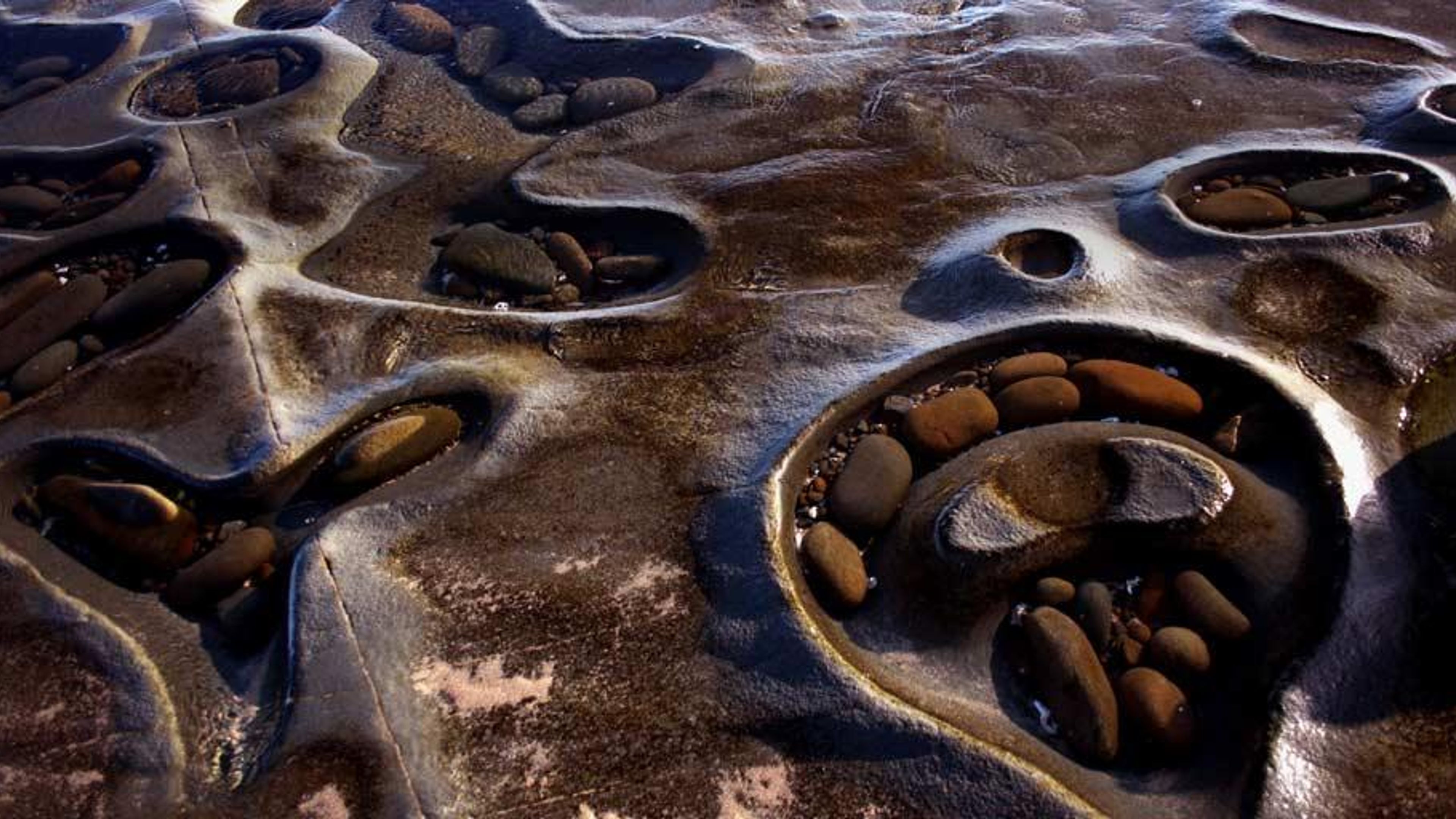 Mini rock pools on beach near Carisbrook Falls Reserve - Bing Gallery