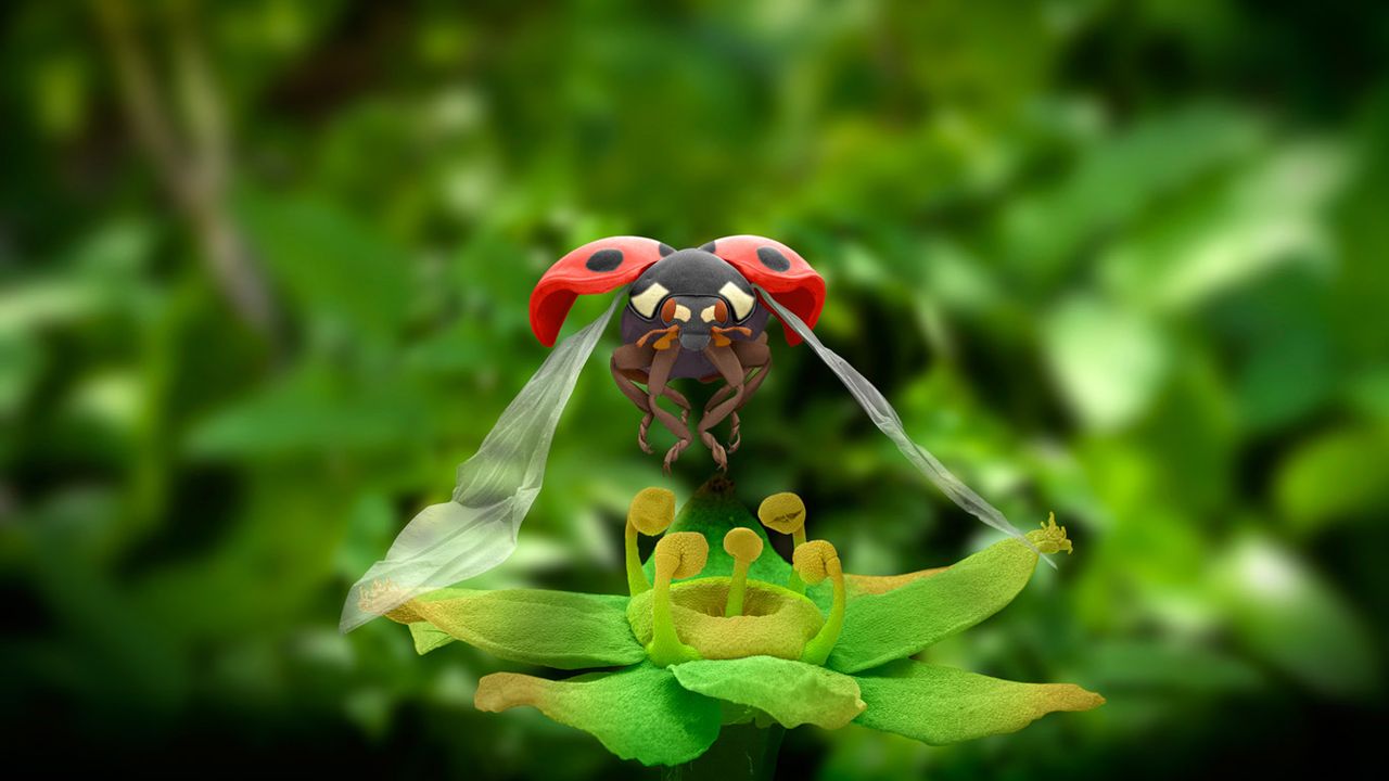 Coloured scanning electron micrograph of a seven-spot ladybird in ...