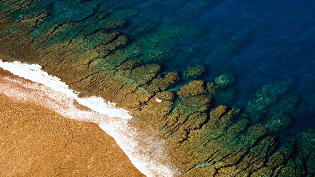 Joyous Réunion - Spotlight Gallery