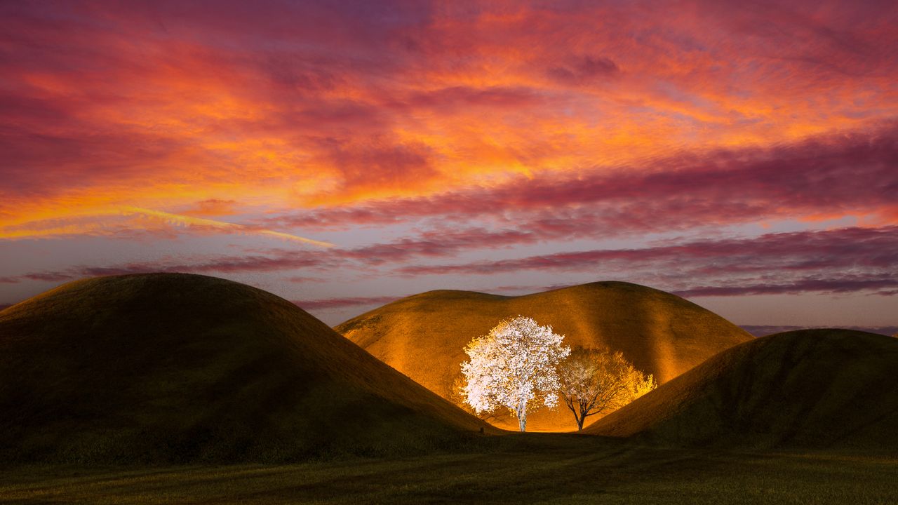 A 'museum without walls' - Spotlight Gallery