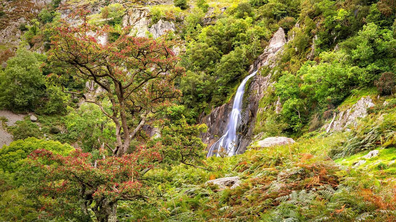 Aber Falls in Snowdonia National Park, Gwynedd - Bing Gallery · Peapix