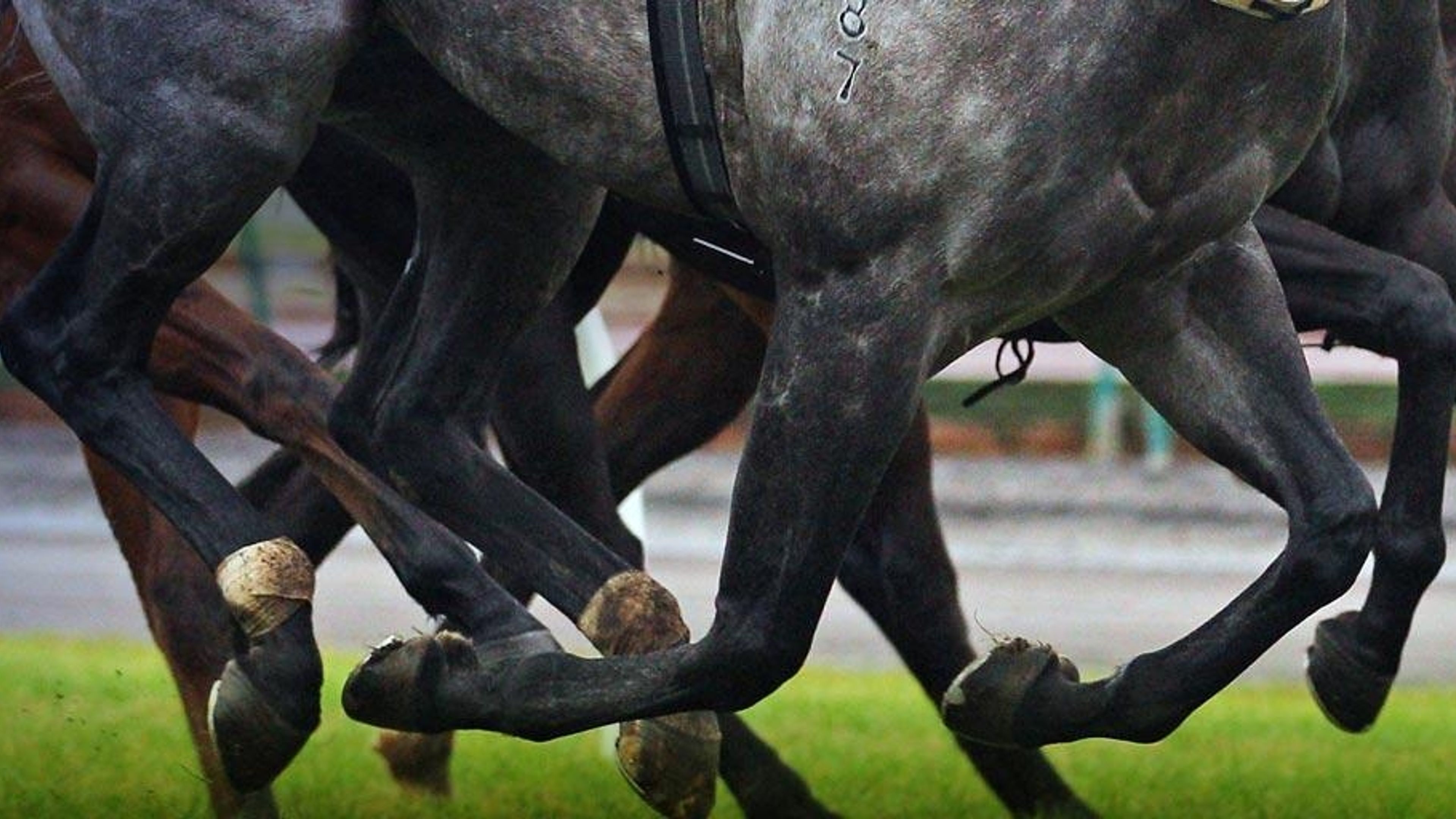 Queen's Birthday Raceday. MELBOURNE, AUSTRALIA - JUNE 09: A detail of ...