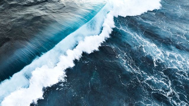 Surf science - Spotlight Gallery