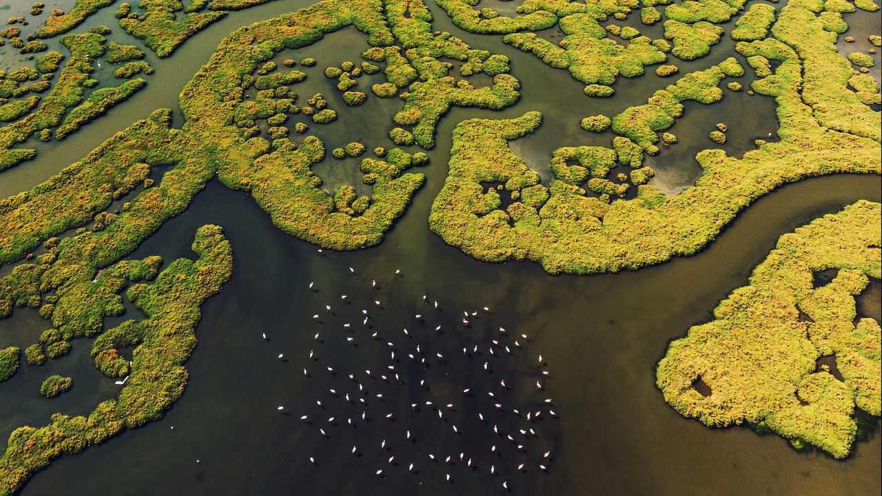 A diverse delta - Spotlight Gallery