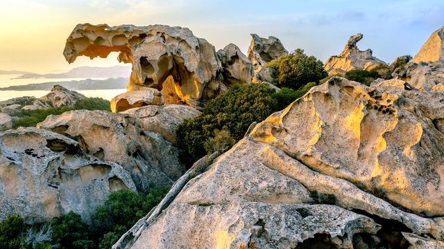 A stone sentry - Spotlight Gallery