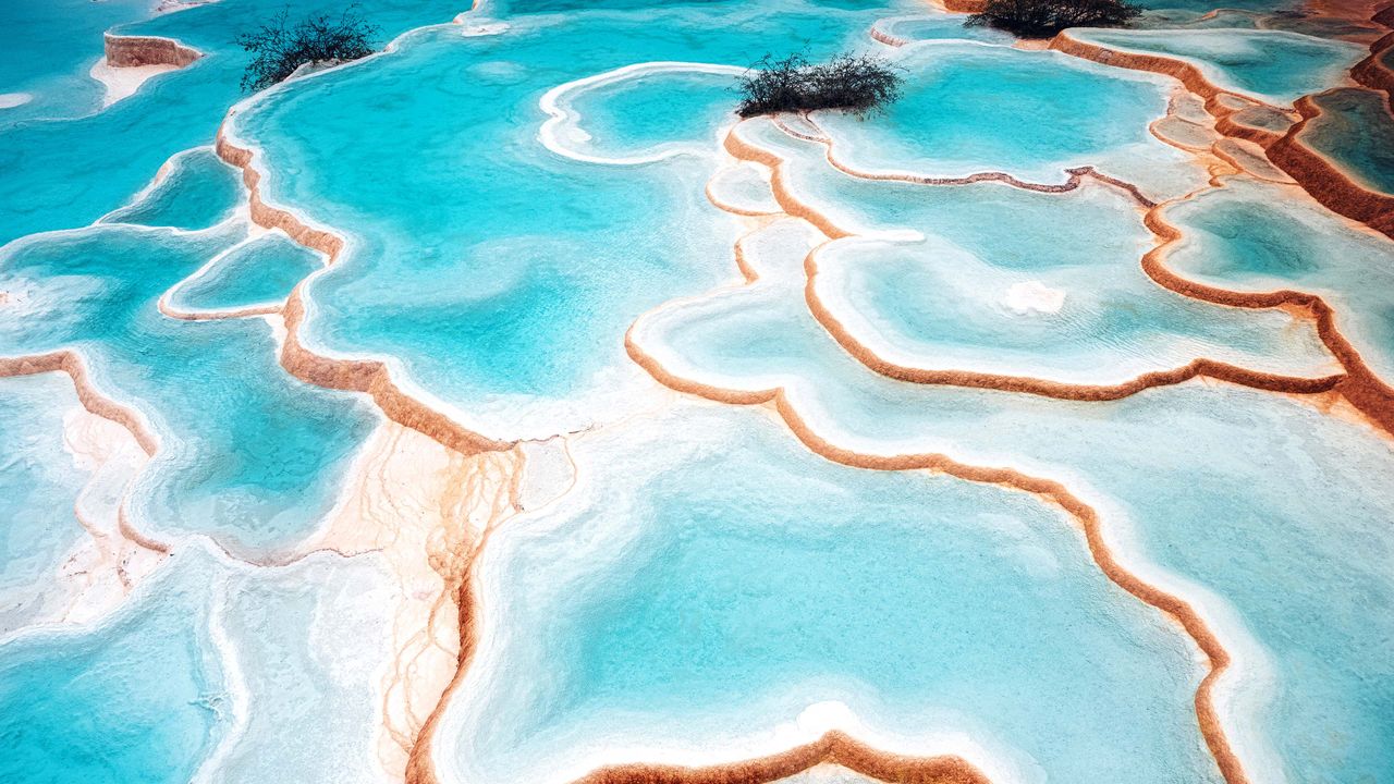 The 'yellow dragon' - Spotlight Gallery