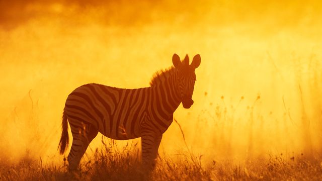 United Kingdom | Bing Daily Wallpaper Gallery – Browse Stunning HD Images